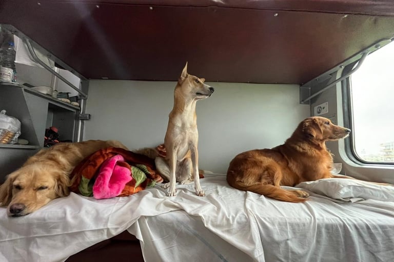 How to Travel with Your Dog in Train: A Step-by-Step Guide