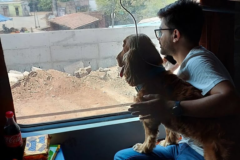 How to Travel with Your Dog in Train: A Step-by-Step Guide